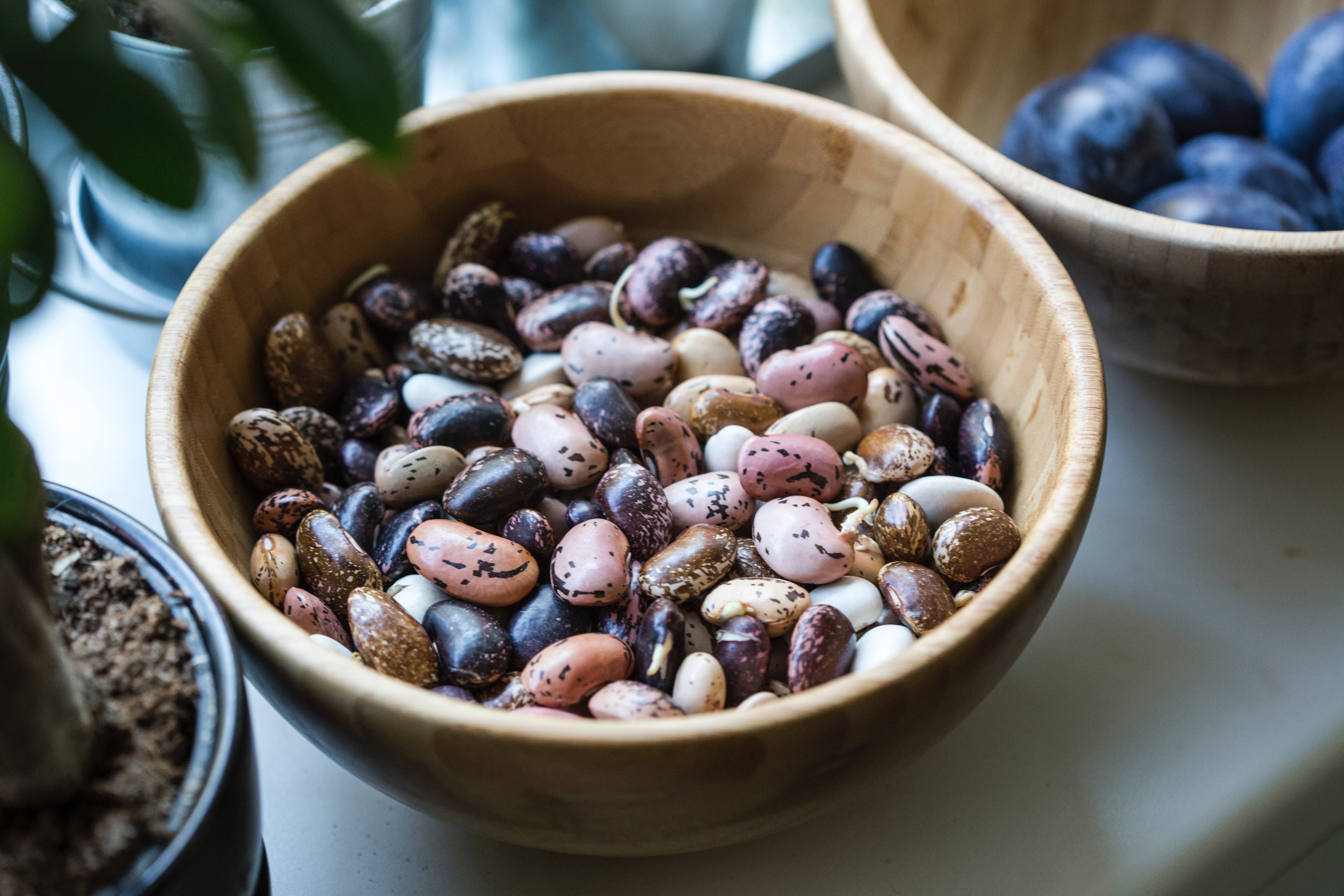 Why Buy Heirloom Beans