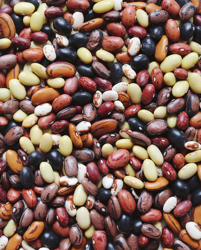 Organic beans from uncompromising farms | Beanstory