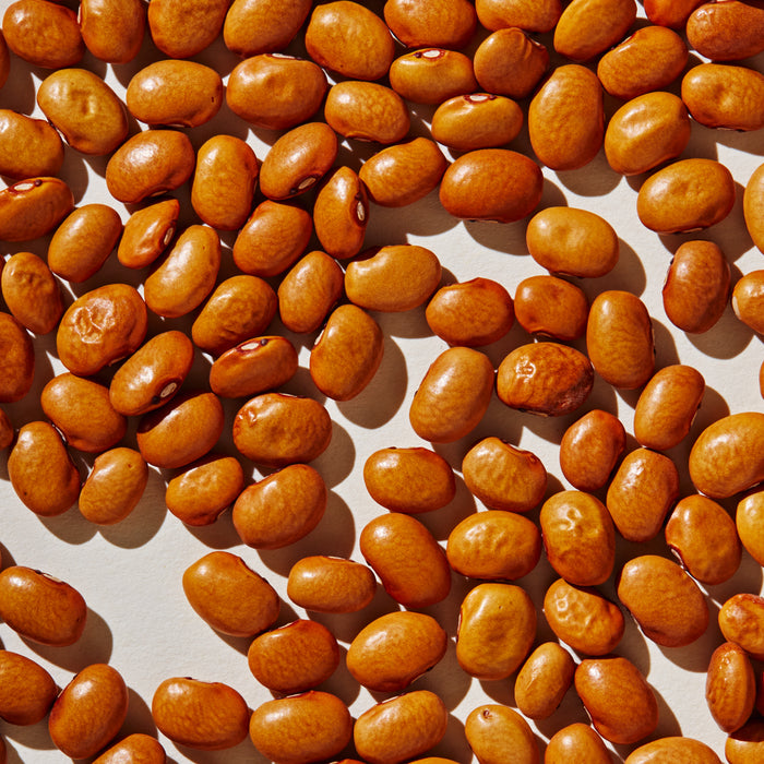 Organic beans from uncompromising farms | Beanstory